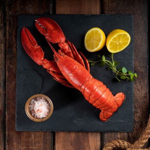 Genuss pur: Gekochter Hummer 400g | Fiedlers Fischmarkt